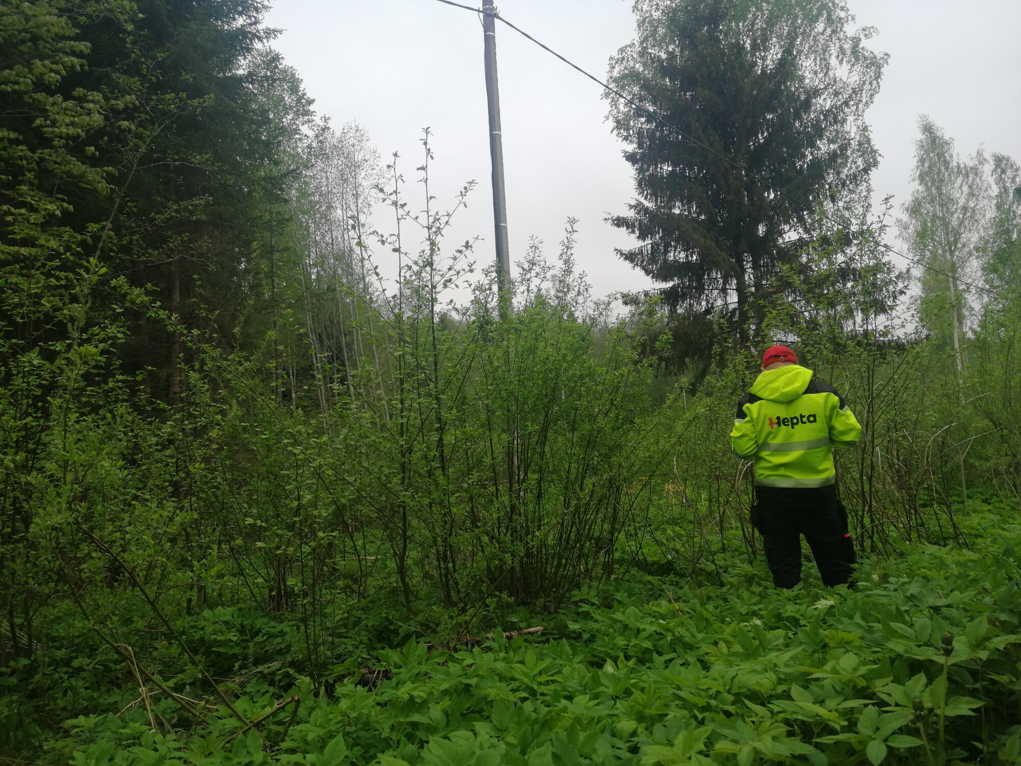Power line inspection challenges and how to overcome them - Hepta Insights