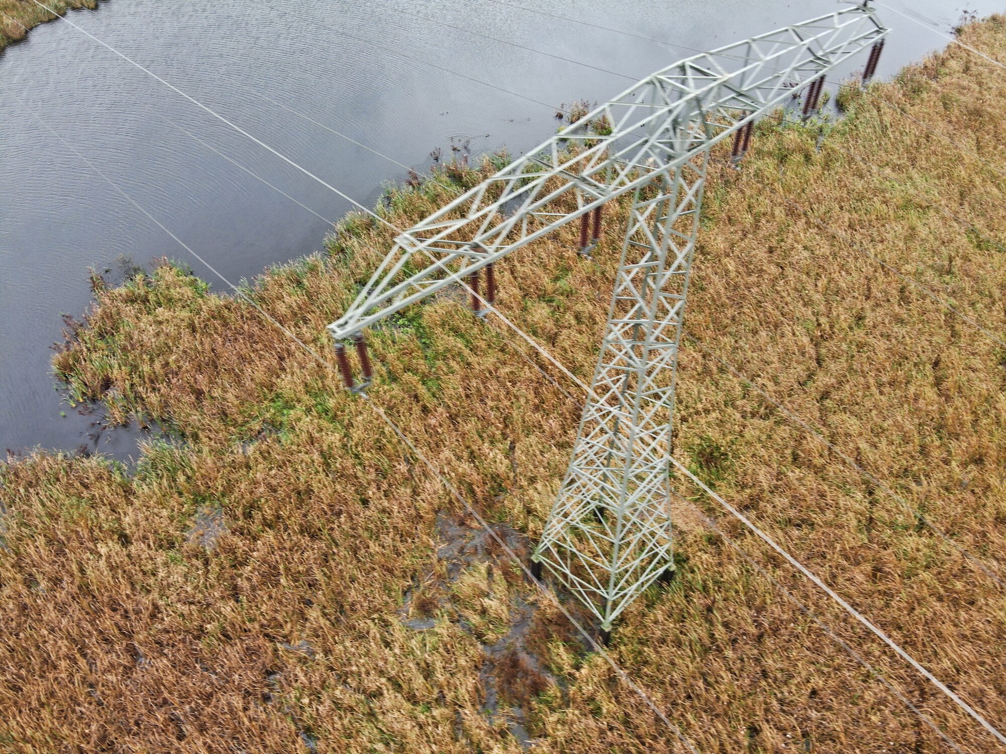 Vegetation management for utility companies - Hepta Insights
