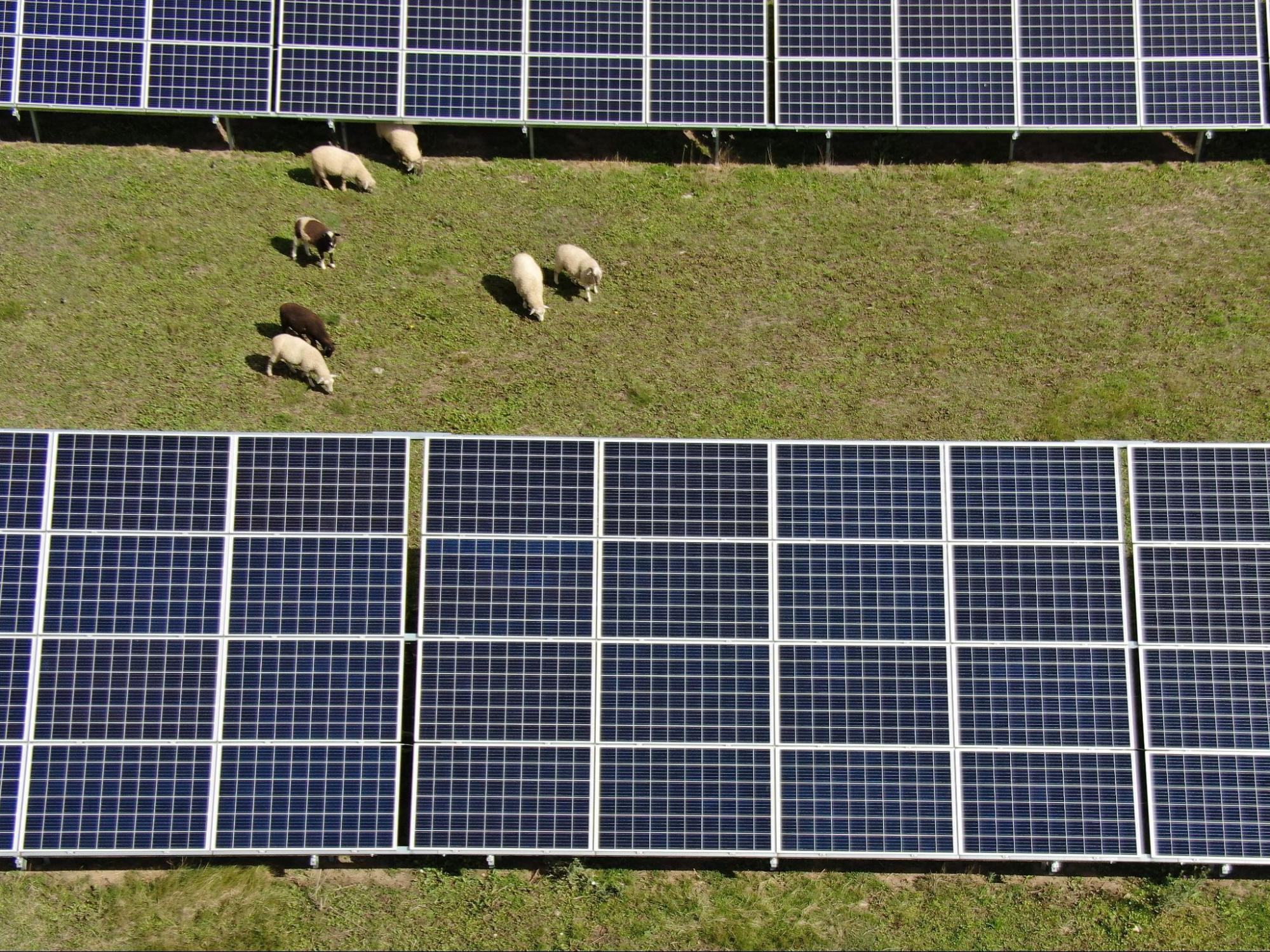 Kaamos PV solar panel inspection by using drones - Hepta Insights